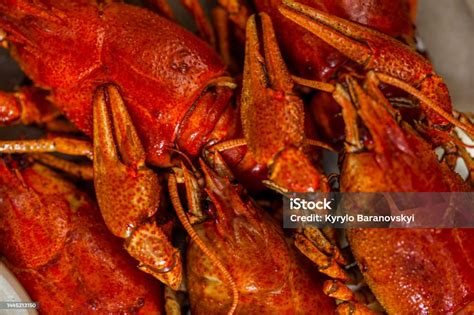 허브 레몬 웨지 및 샐러드 믹스와 함께 끓는 물에 삶은 왕새우는 베이지 색의 타원형 접시에 놓여 있습니다 근처에는 양파 소스를 곁들인 세라믹 베이지 색 그릇이 있습니다