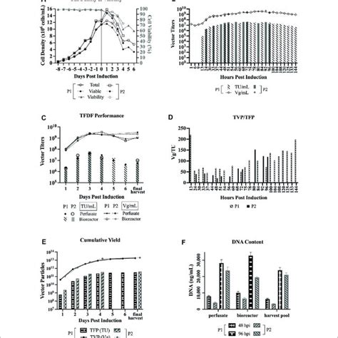 Lv Production In Perfusion Mode Using Tfdf Tfdf Tangential Flow
