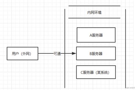 实现内网穿透内网穿透 Csdn Csdn博客