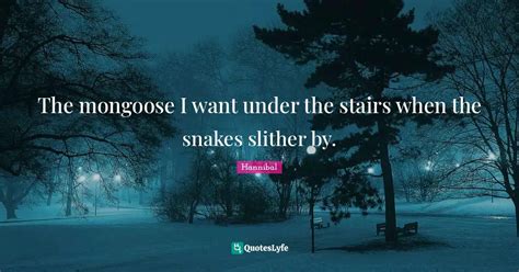 Best Mongoose Quotes With Images To Share And Download For Free At Quoteslyfe