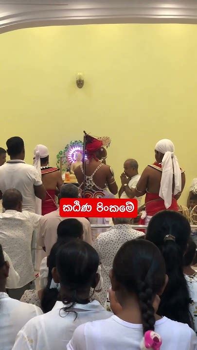 🙏 ️‍🔥කඨිනයට කියන්න ලස්සන කවියක් ️🌿🙏 අහලා ඇති Trending Viral Video 1million Youtube