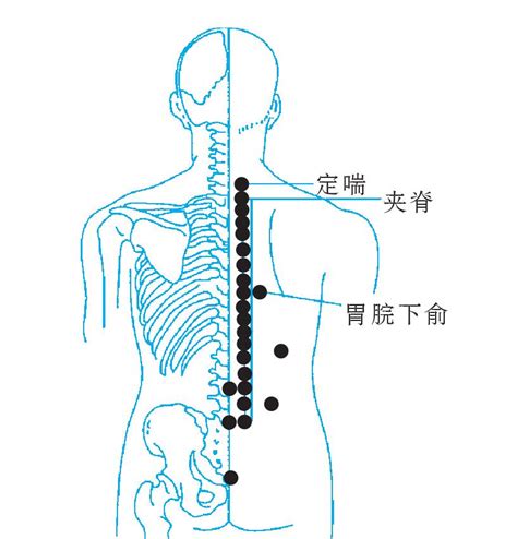 2 夹脊 腧穴定位 医学