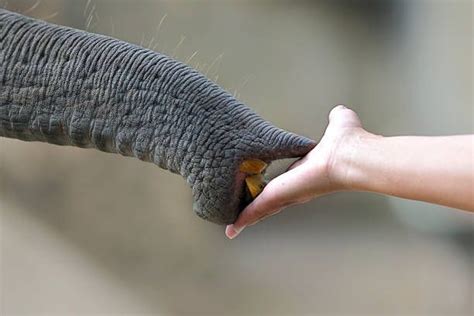 United States Postgresql Association On Linkedin Become A Member