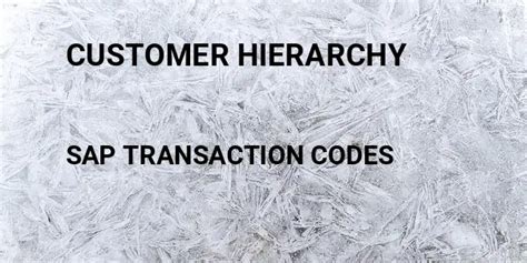 Customer Hierarchy Tcode In Sap Transaction Codes List Customer Hierarchy Tcode In Sap Transaction Codes List