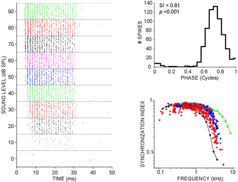 Spike Timing Sayles Laboratory Purdue University
