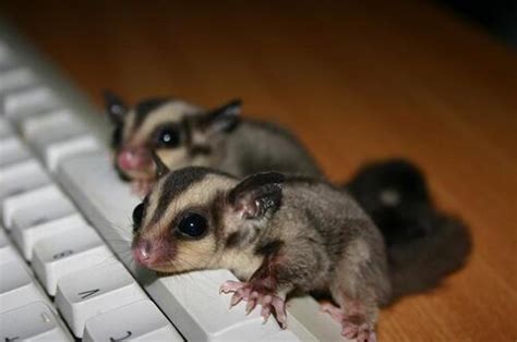 Posts From 2013 • Zettelkasten Method