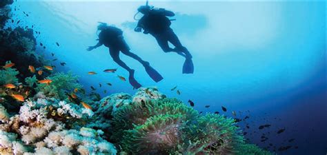 Decompression Sickness In Scuba Divers The Nurse Practitioner