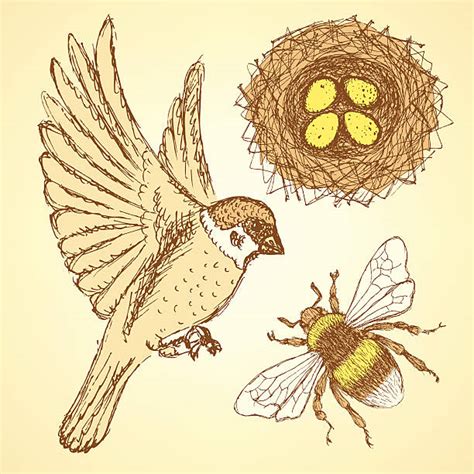 Birds And Bees Background Illustrations Royalty Free Vector Graphics