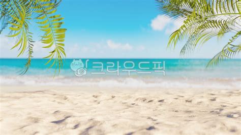 여름 바다 휴가 바캉스 배경 사진 이미지 일러스트 캘리그라피 Meshcube작가