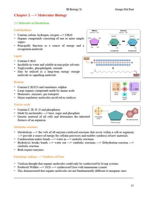 Chapter 2 Compressed Pdf Dna Carbohydrates