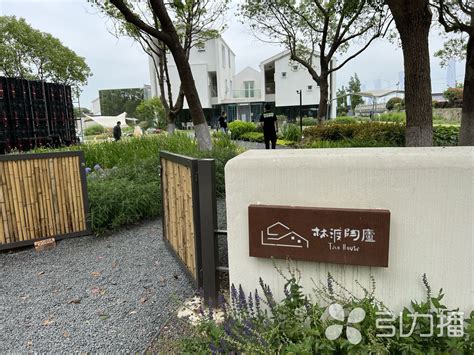 助力乡村振兴 “生态乡村”林渡暖村主题数字藏品上线 盐城新闻网