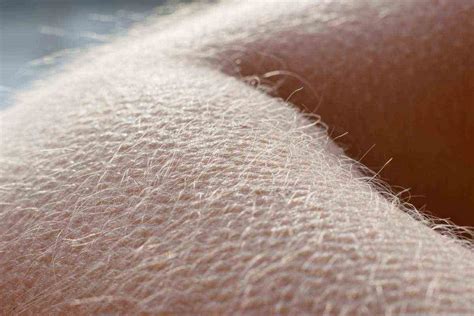 La Pelle Doca Un Retaggio Genetico Che Può Salvarci La Vita Ecco Perché Viene E Quando