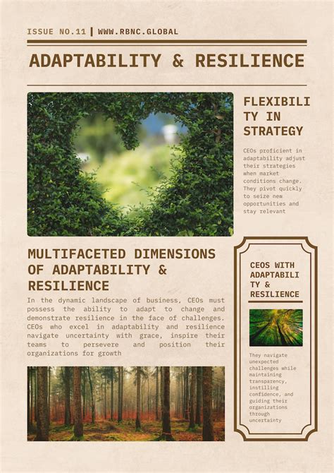 Adaptability And Resilience The Ceo Skills Rbnc Build And Execute Strategy