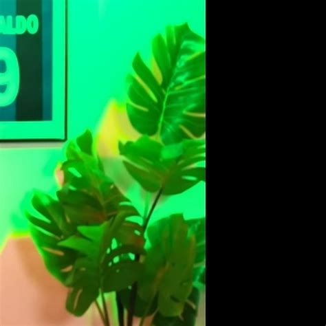 Meme Central Youtube