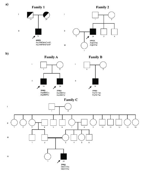 Non Hfe Hereditary Hemochromatosis Families Families And Mutations Download Scientific