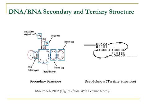 Coding For Dna Computing Combinatorial And Biophysical Aspects