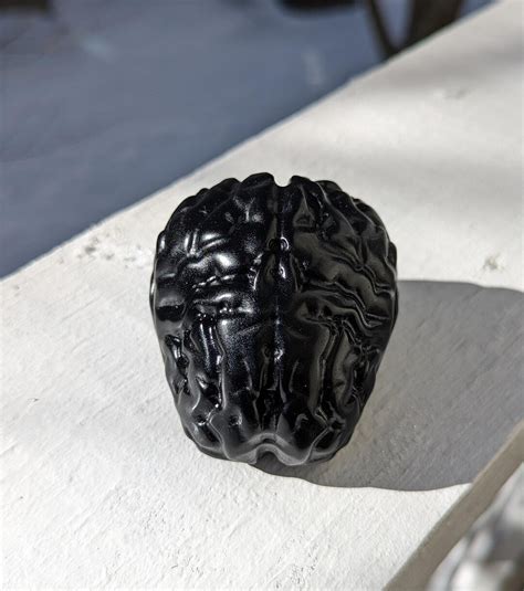 Xl Obsidian Anatomical Brain Etsy