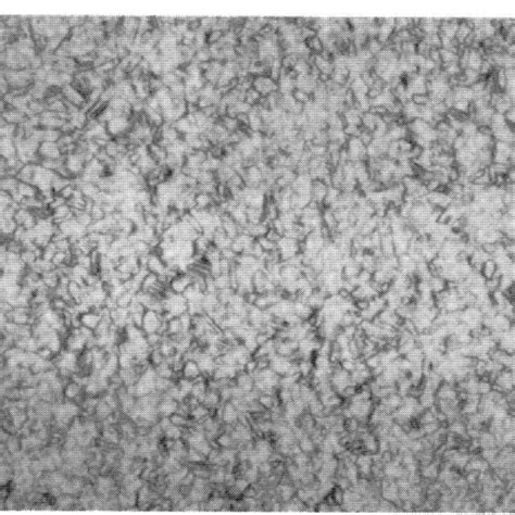 Microstructure Of Cobalt Based Alloy F562 The Equiaxed Fcc Grains Mix