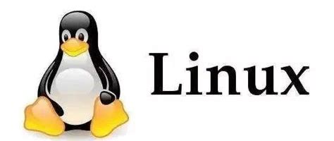 Linux Tcp 网络数据接收流程 Napi 知乎 Linux Tcp 网络数据接收流程 Napi 知乎