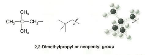 Neopentyl Group