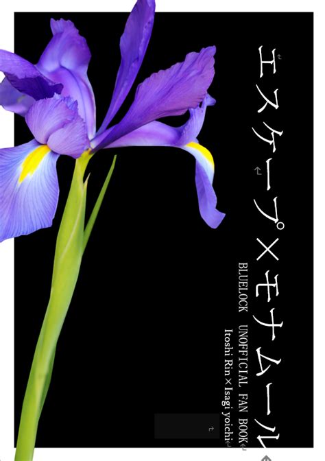 氷雨 On Twitter 【急募】センス りんいさオンリー用に書いてるやつだからネップリしない予定だけど、自分用にネップリ製本したいなーと思って表紙作って遊んでるやつ。
