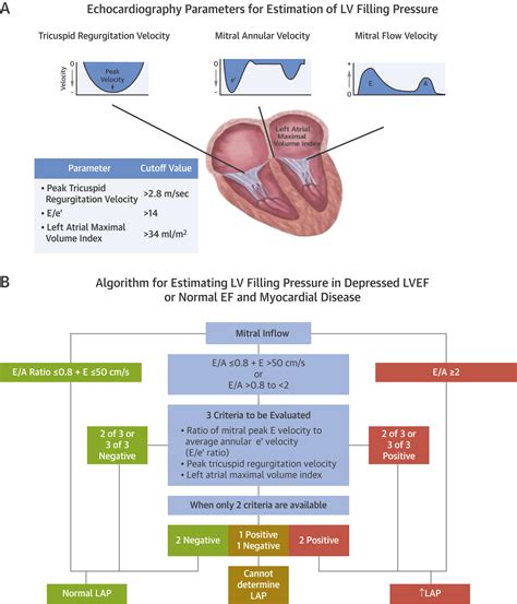 Right Ventricular Dysfunction Guidelines At Jack Black Blog