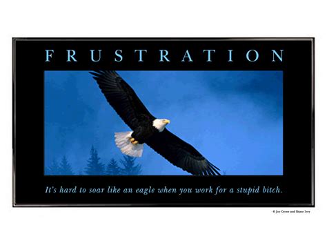 Soar Like An Eagle Quotes And Sayings Quotesgram