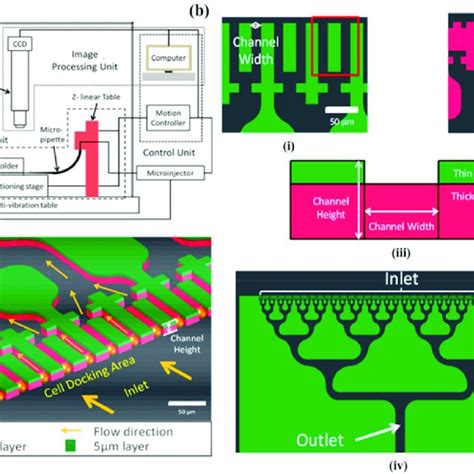 High Throughput Automated Microinjection Device For Small Adherent