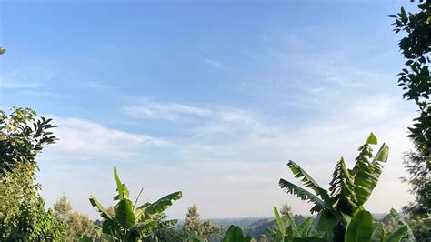 No Border Assembly Refuge Worldwide