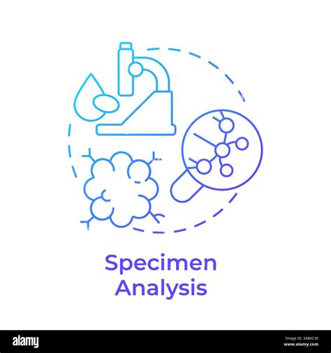 Specimen Analysis Blue Gradient Concept Icon Stock Vector Image And Art