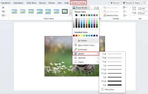 How To Add Borders To Images In PowerPoint MyExcelOnline