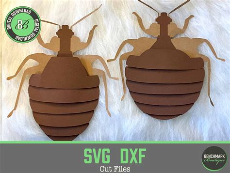 Svg Bug Bundle Male Female Bed Bug Model Svg 3d Insect Cut File Bed Bug