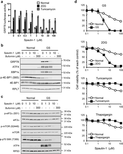 Spautin 1 抑制线粒体复合物 I 并导致葡萄糖饥饿期间未折叠蛋白反应和细胞存活的抑制 Scientific Reports X Mol