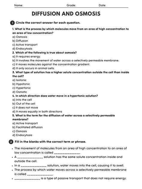Biology Diffusion And Osmosis Worksheet Printable Pdf With Answer Key