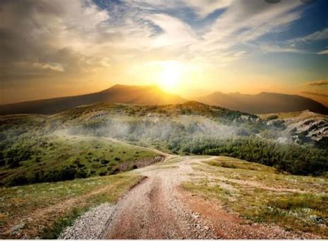 Infected Prototype Deku Getting An Upgrade Wattpad