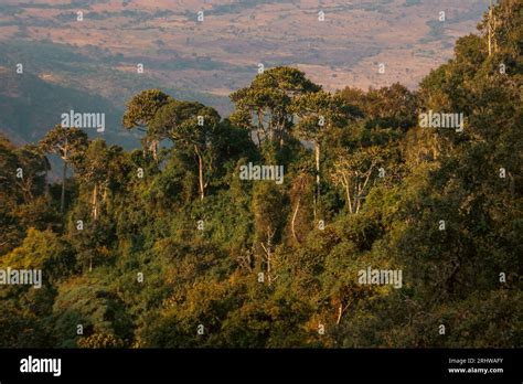 Scenic View Of Rift Valley Seen From The Great Rift Valley Viewpoint In Mbeya Tanzania Stock