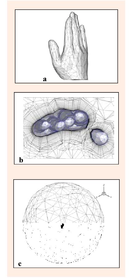Figure 1 From A Computational Fluid Dynamics Analysis Of Hydrodynamic Force Acting On A Swimmer