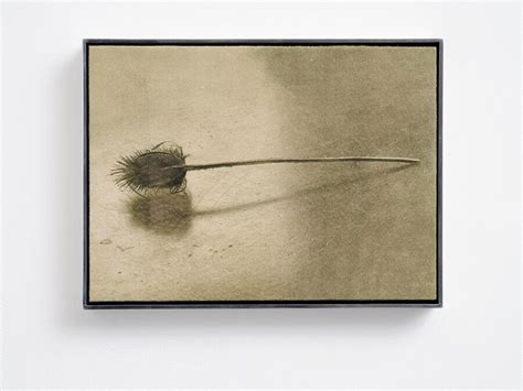 Solid Objects By Poppy Jones Another