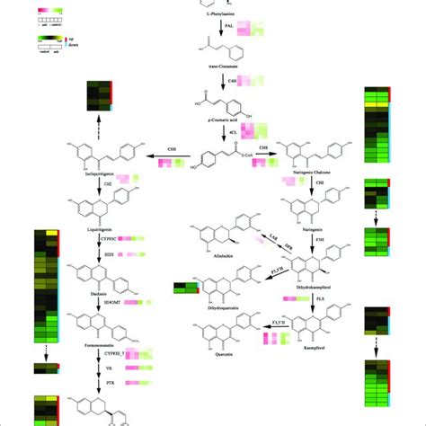 A Expression Levels Of Structural Differentially Expressed Genes