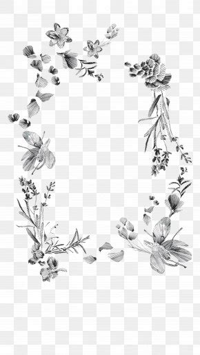 Floydwarshall Algorithm M02csf Blog Data Png 717x501px Algorithm