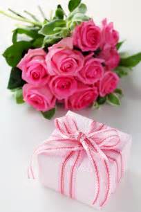 Querida Mãe Bibliotecas D Maria Ii