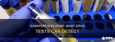 Gabapentin In Urine What Drug Tests Can Detect Medshun