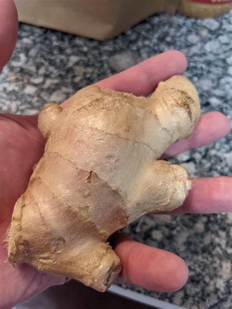 Biggest Knob Of Ginger Ive Ever Seen Rabsoluteunits