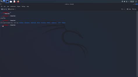 Linux File System Cybervie