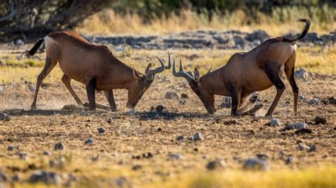 Understanding ISO Aperture And Shutter Speed OPG Craft And Hobby