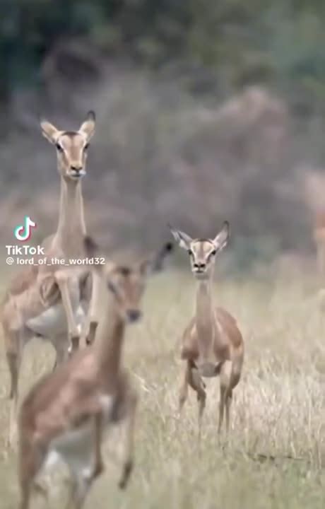 Usman Malik Posted On Linkedin