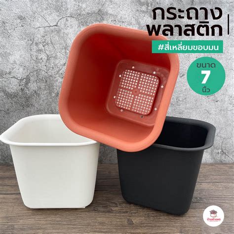 กระถาง 7 นิ้ว สี่เหลี่ยมขอบมน กระถางพลาสติก แคคตัส กระบองเพชร ไม้อวบน้ำ Cactusandsucculent