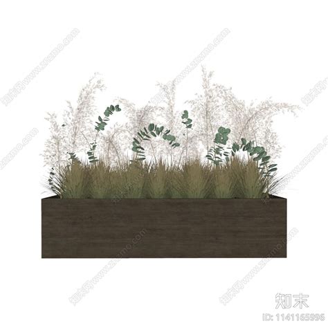 植物组合su模型下载【id1141165996】知末su模型网