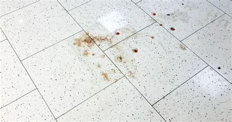 How To Remove Rust Stains From Tiles Without Using Chemicals Our Natural Solutions