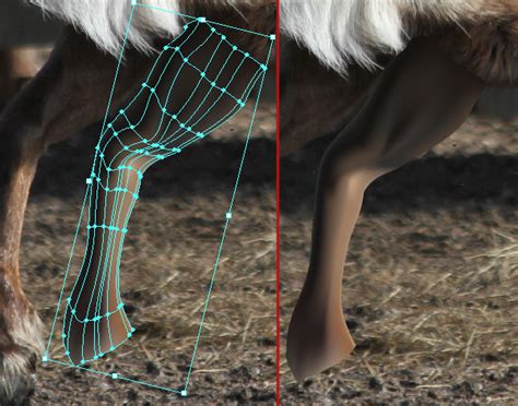 how to create a realistic reindeer with gradient mesh in adobe